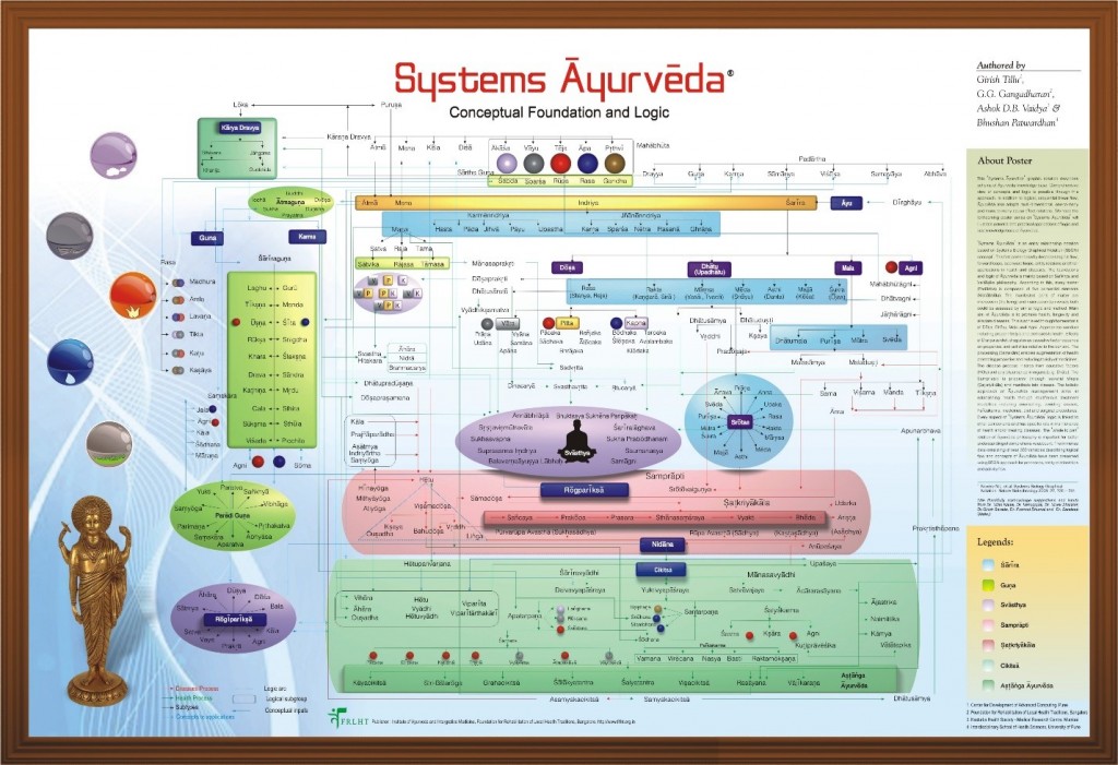 Ayurveda: The Science of Life - Ancient Indian Wisdom